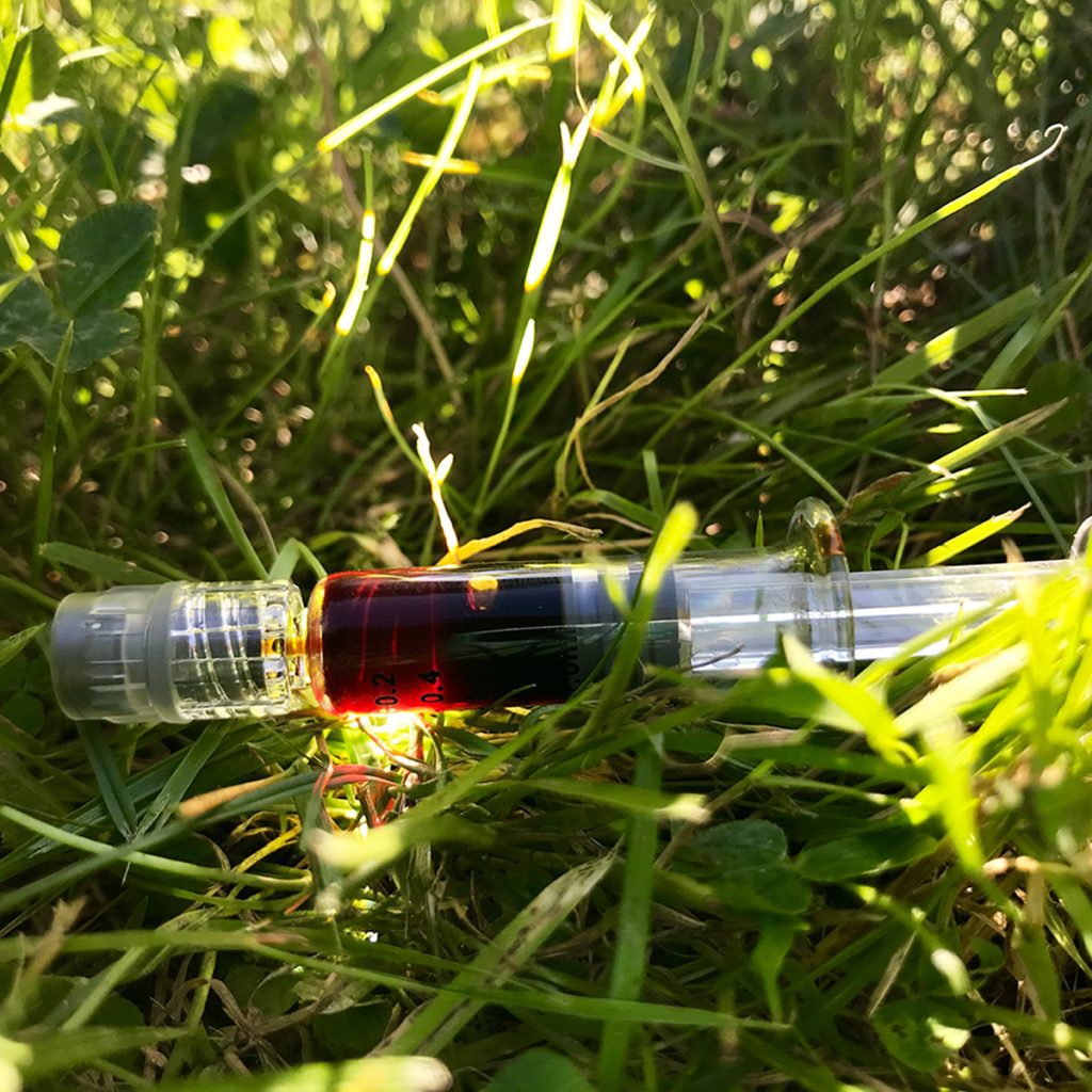 Edible THC Syringe – Dr Good Dabs